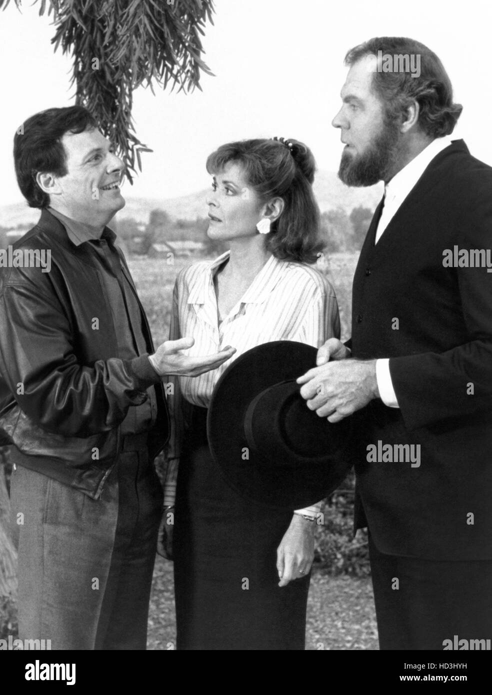 AARON'S WAY, (from left): Ron Leibman, Jessica Walter, Merlin Olsen ...