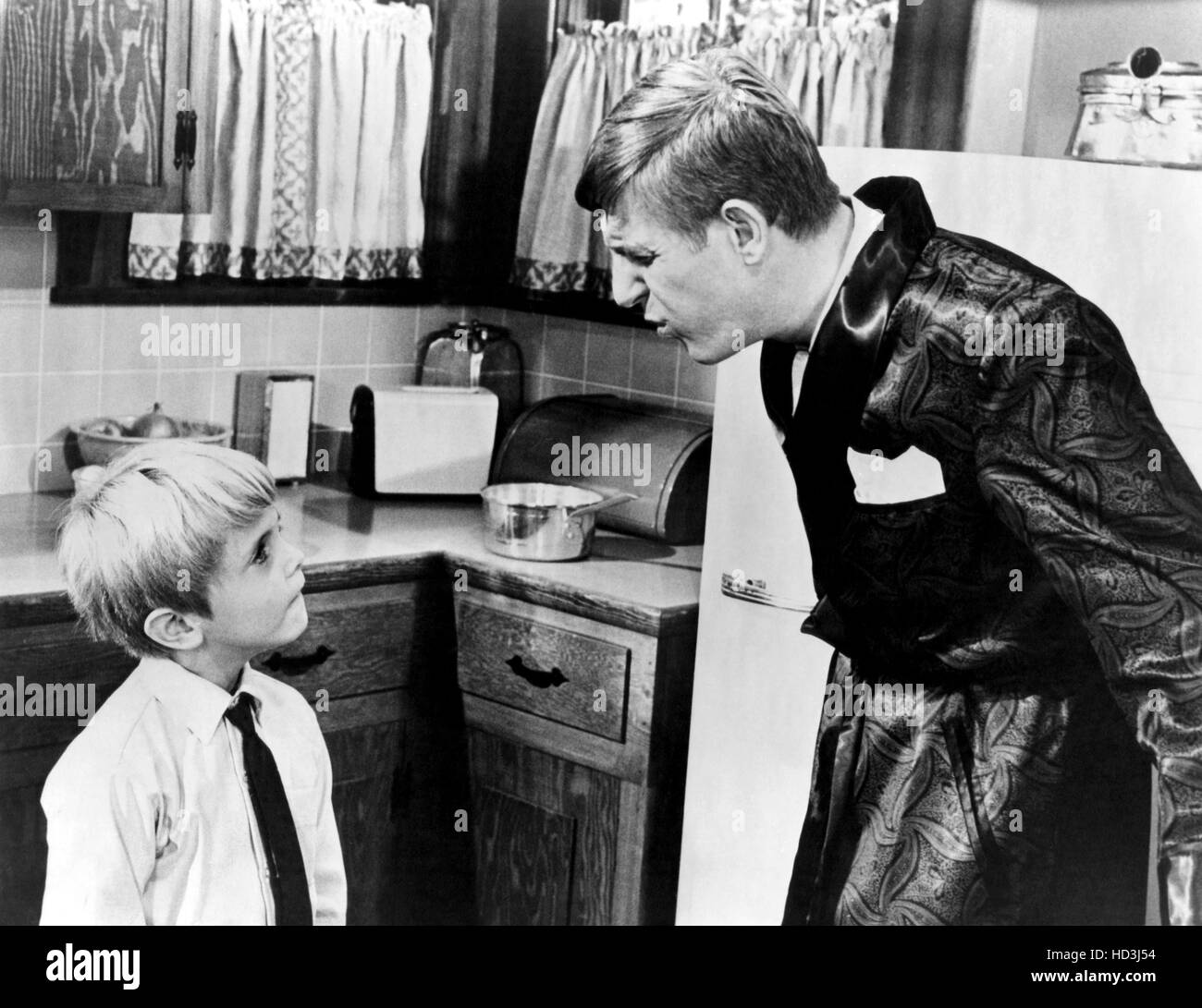 ACCIDENTAL FAMILY, Teddy Quinn, Jerry Van Dyke, 'Everywhere A Chick ...