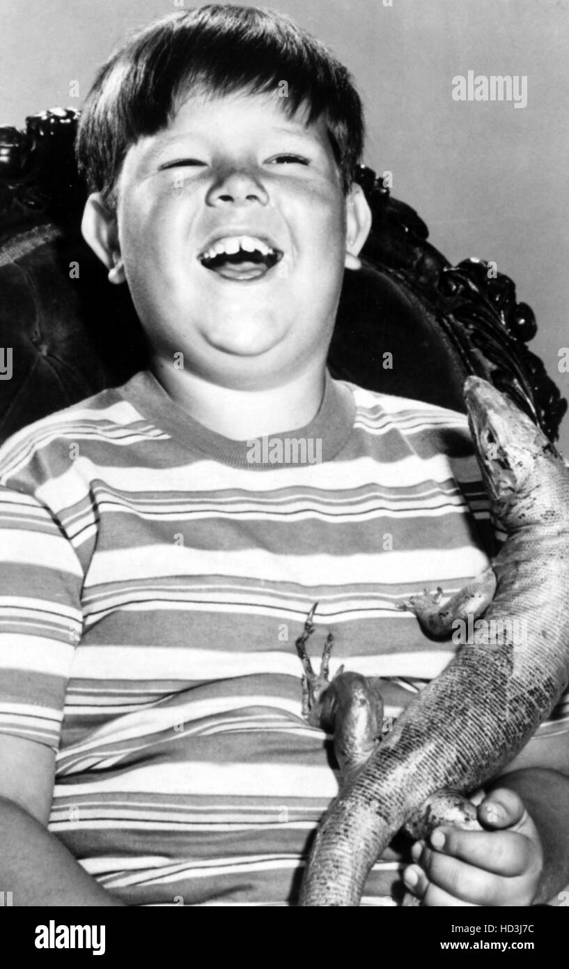 THE ADDAMS FAMILY, Ken Weatherwax, 1964-66 Stock Photo - Alamy