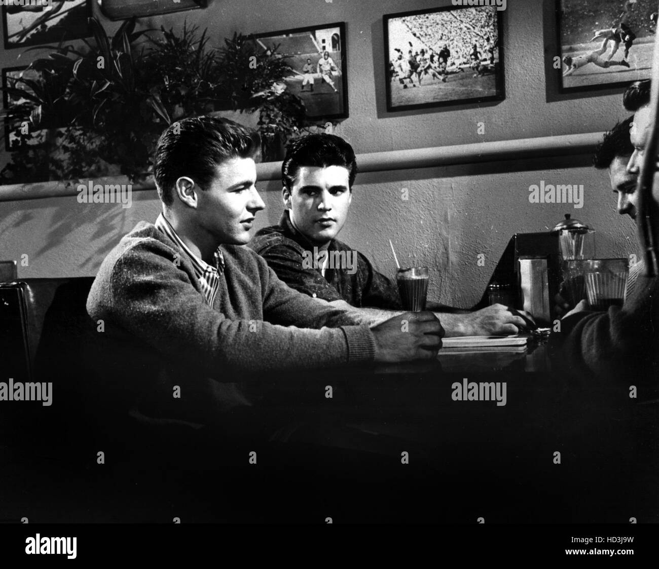 ADVENTURES OF OZZIE AND HARRIET, David Nelson, Ricky Nelson, 1952-66 ...
