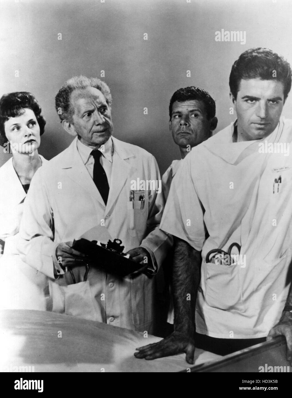 BEN CASEY, Bettye Ackerman, Sam Jaffe, Vince Edwards, 1961-1966 Stock ...