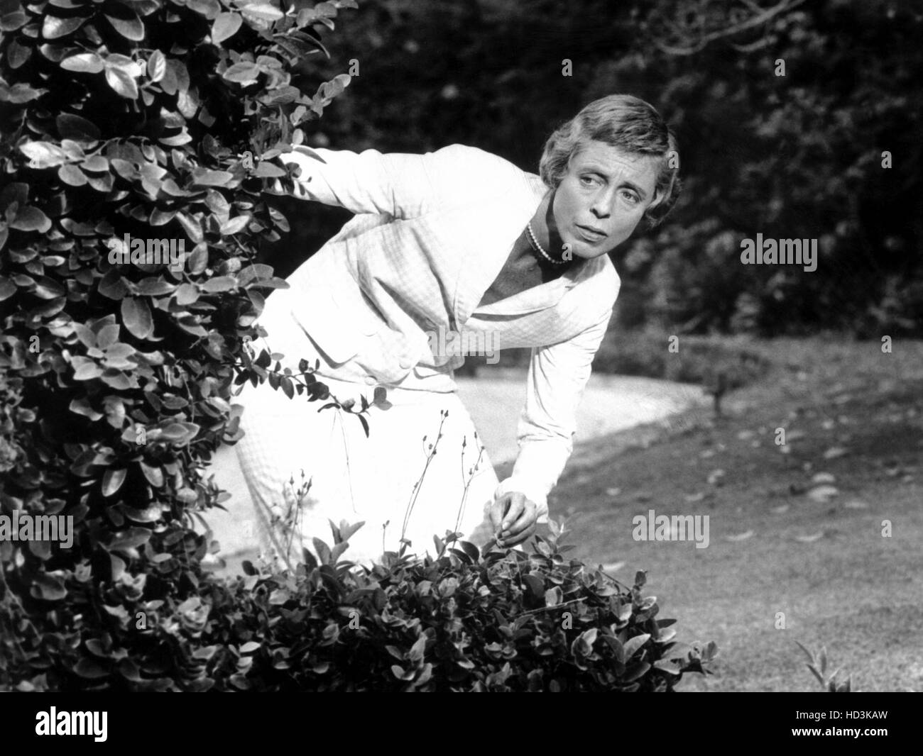 THE BEVERLY HILLBILLIES, Nancy Kulp, (1965), 1962-71 Stock Photo - Alamy