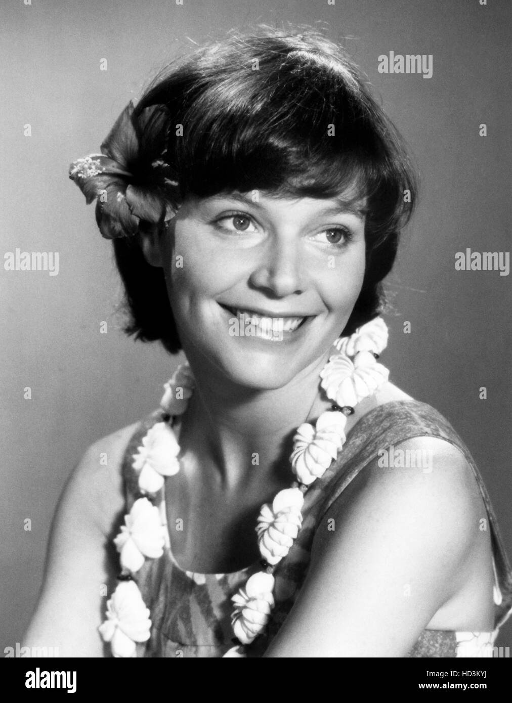 BIG HAWAII, Lucia Stralser, 1977 Stock Photo - Alamy