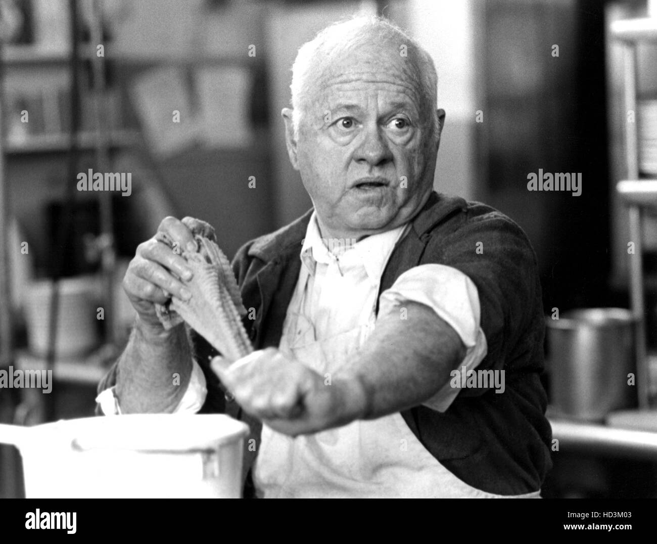 BILL, Mickey Rooney, 1981 Stock Photo - Alamy