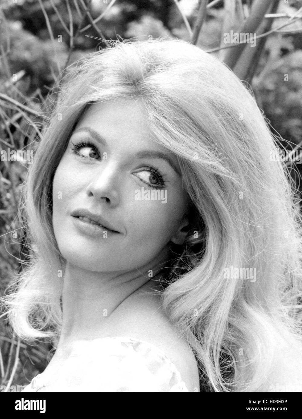 BRACKEN'S WORLD, Karen Jensen, 1969-70 Stock Photo - Alamy