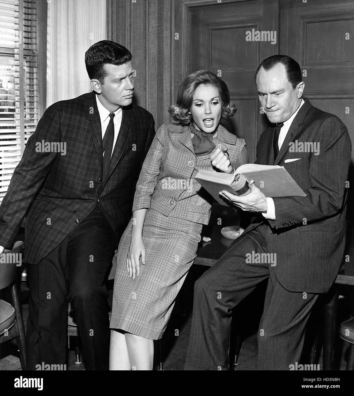 The Defenders 1961 Tv Series