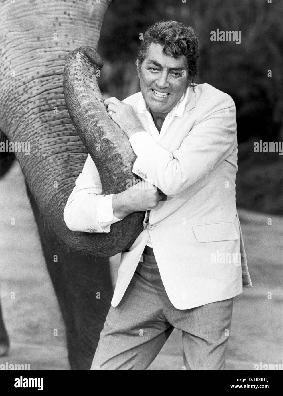 DEAN MARTIN AT THE WILD ANIMAL PARK, Dean Martin, aired April 18, 1982 ...