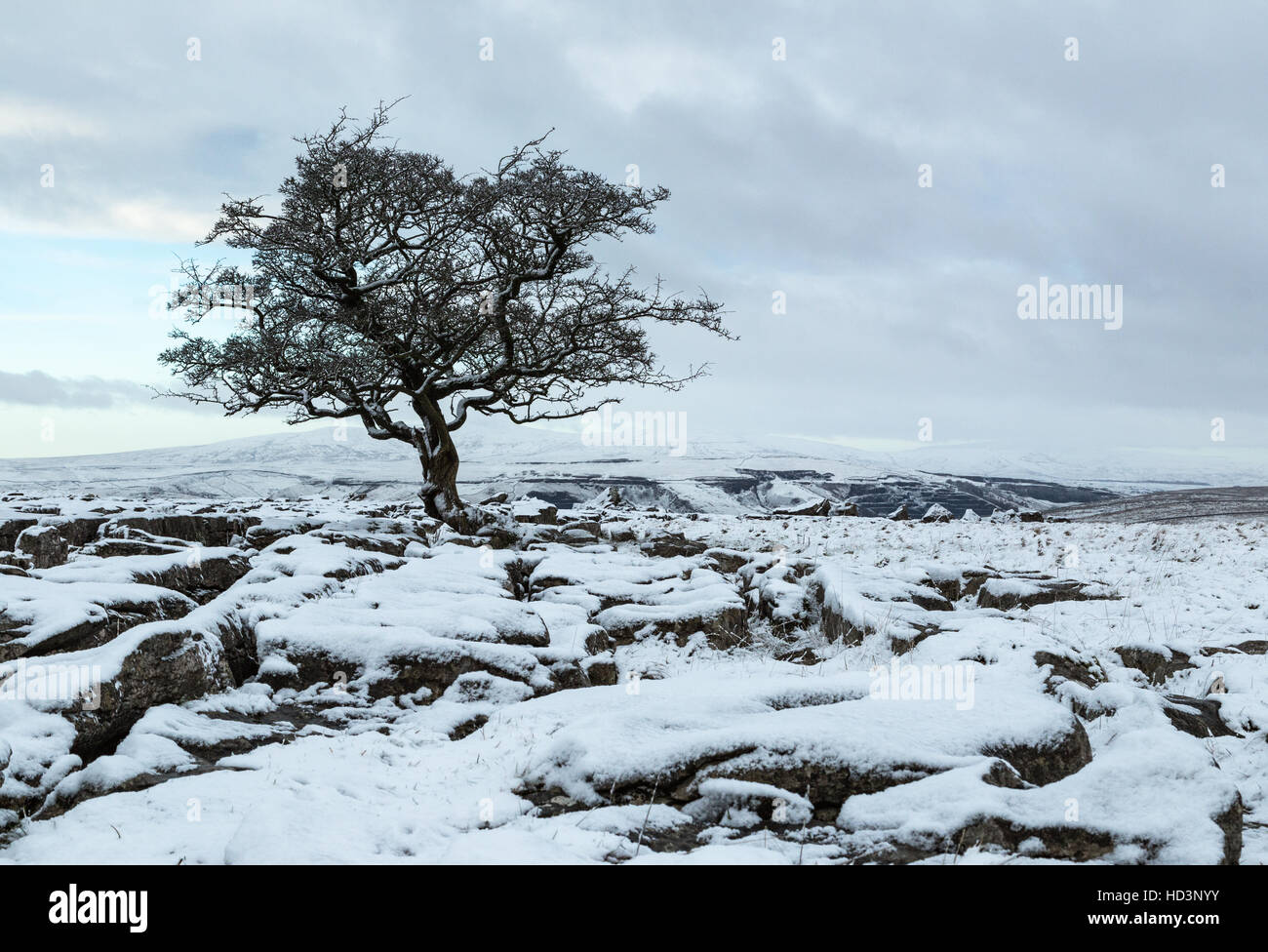 Rocky scene winskill hi-res stock photography and images - Alamy