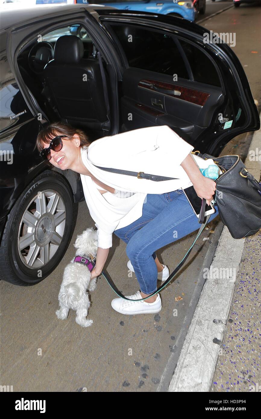 Felicity Jones arrives in Los Angeles with her doggy Featuring ...