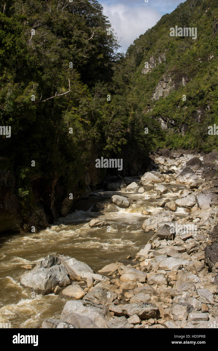 Ngakawau River flows with rapids and some waterfalls through a scenic ...