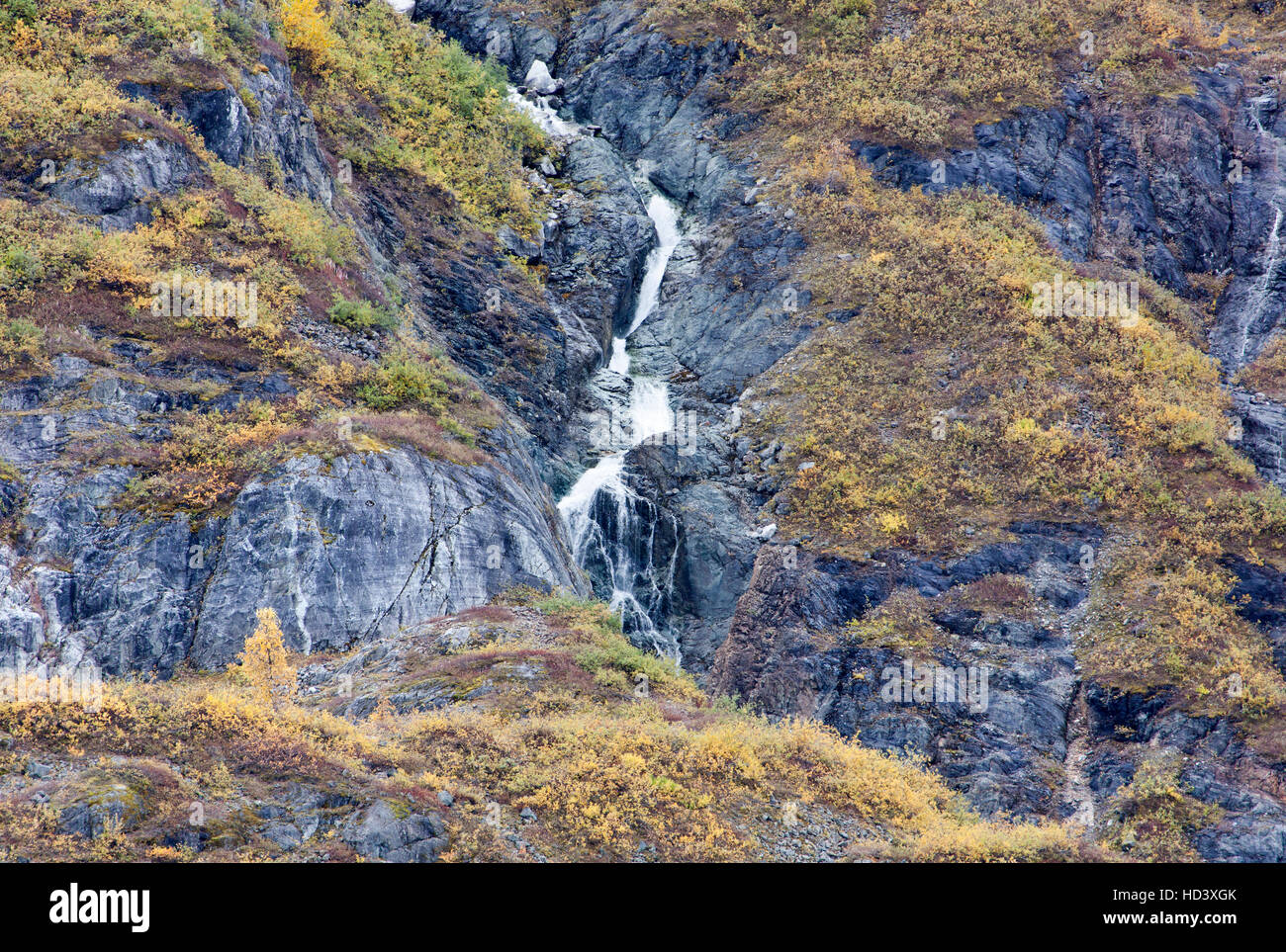 The little waterfall in early Autumn in Glacier Bay national park ...