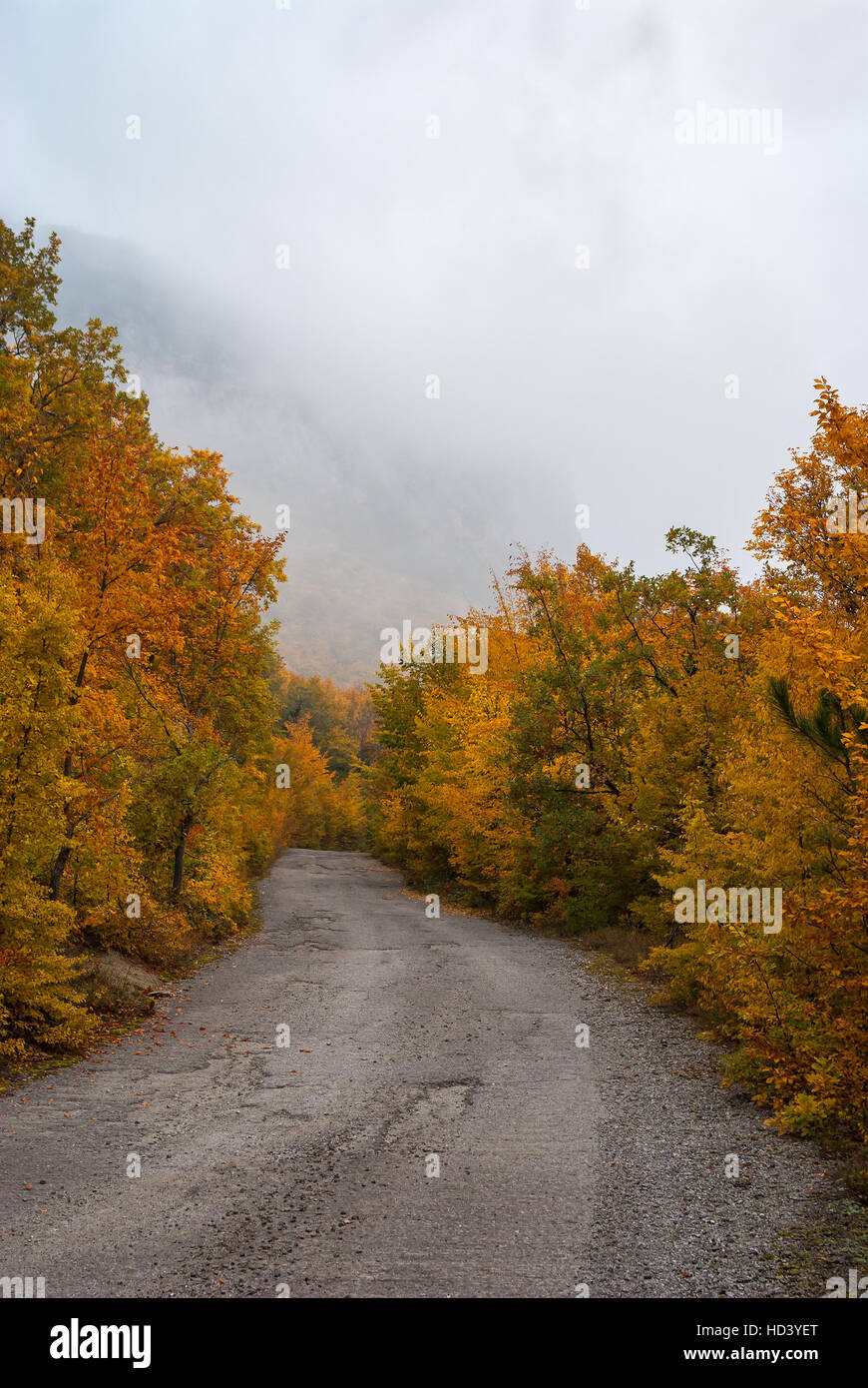 Empty country hi-res stock photography and images - Alamy