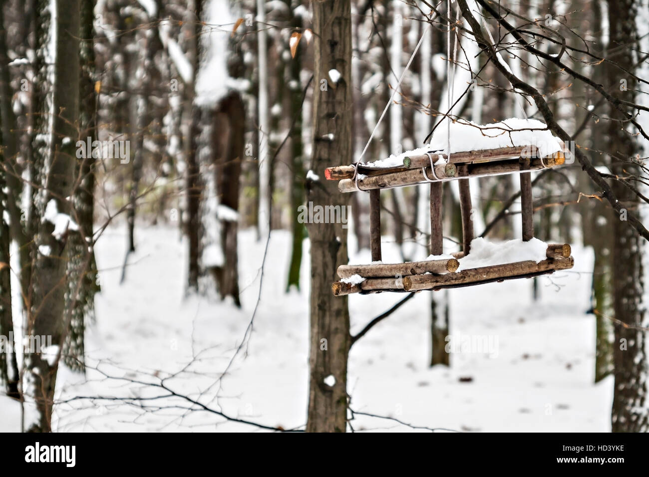 feeding trough for birds in a snowy forest close up Stock Photo - Alamy