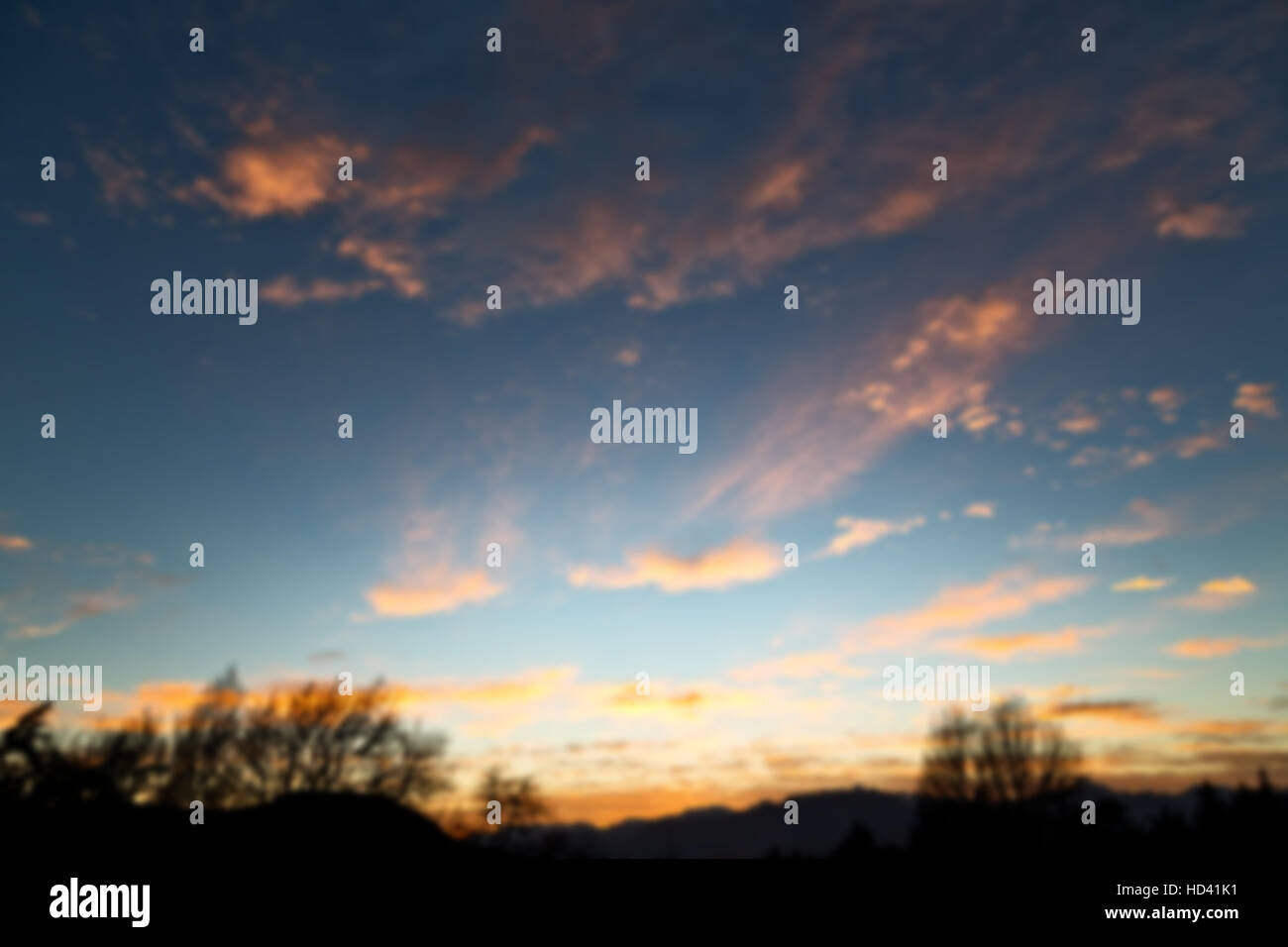 blur in south africa sunrise near branch tree like abstract background Stock Photo - Alamy