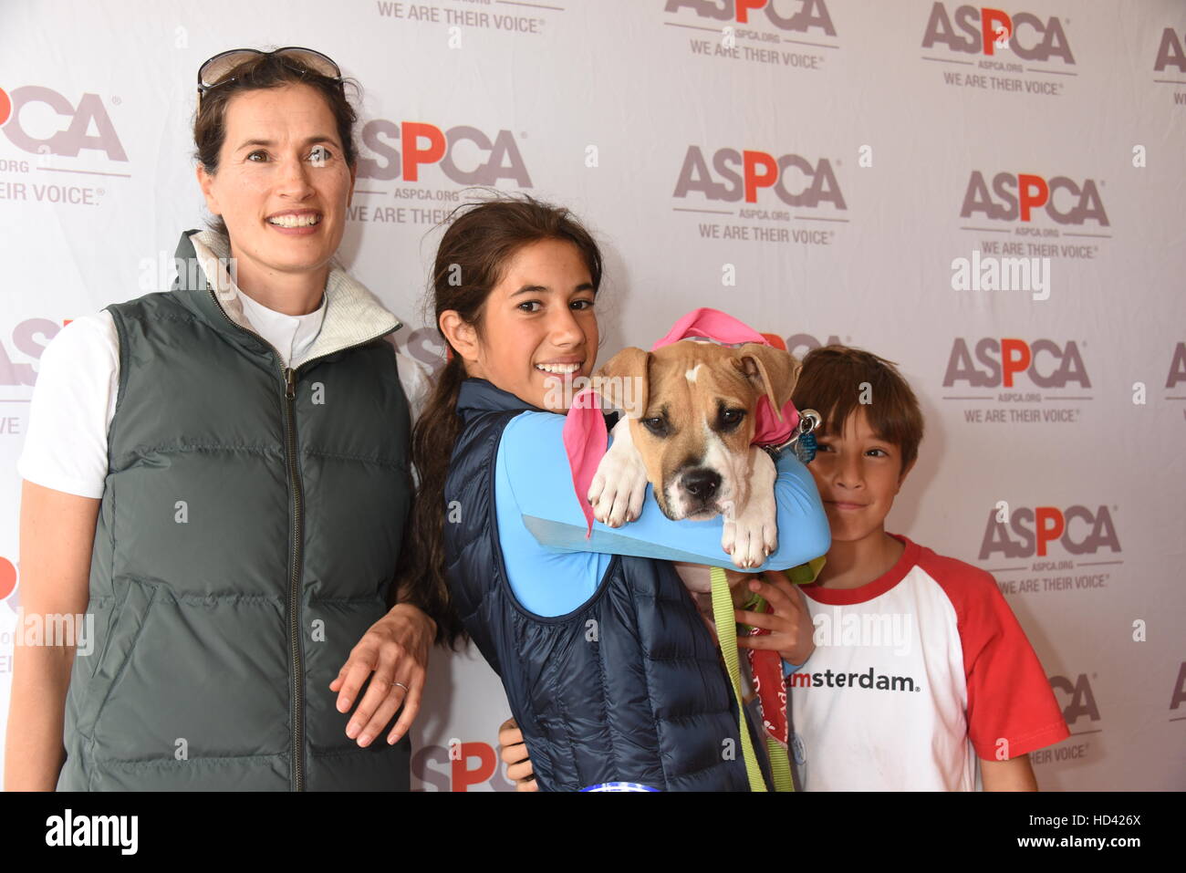 Matt Lauer and family adopt a dog from the ASPCA during the Hampton ...