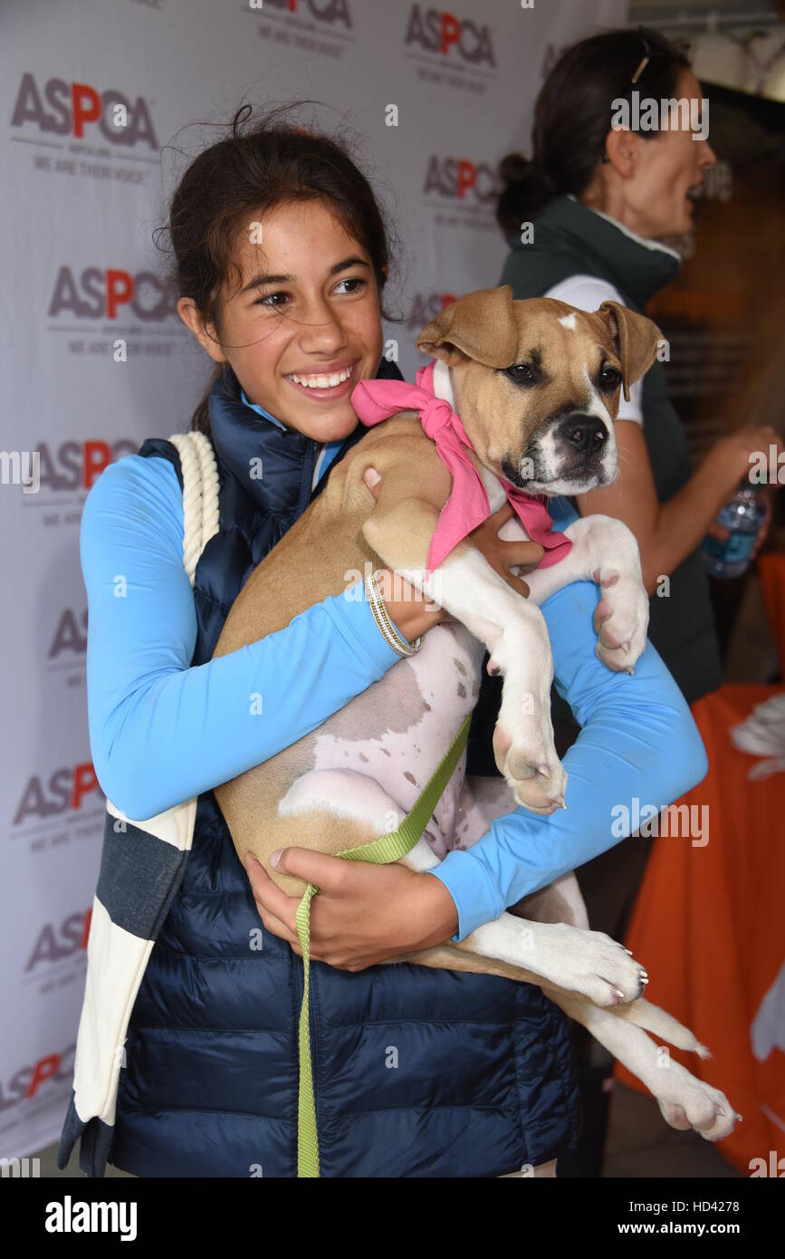 Matt lauer and romy lauer hi-res stock photography and images - Alamy