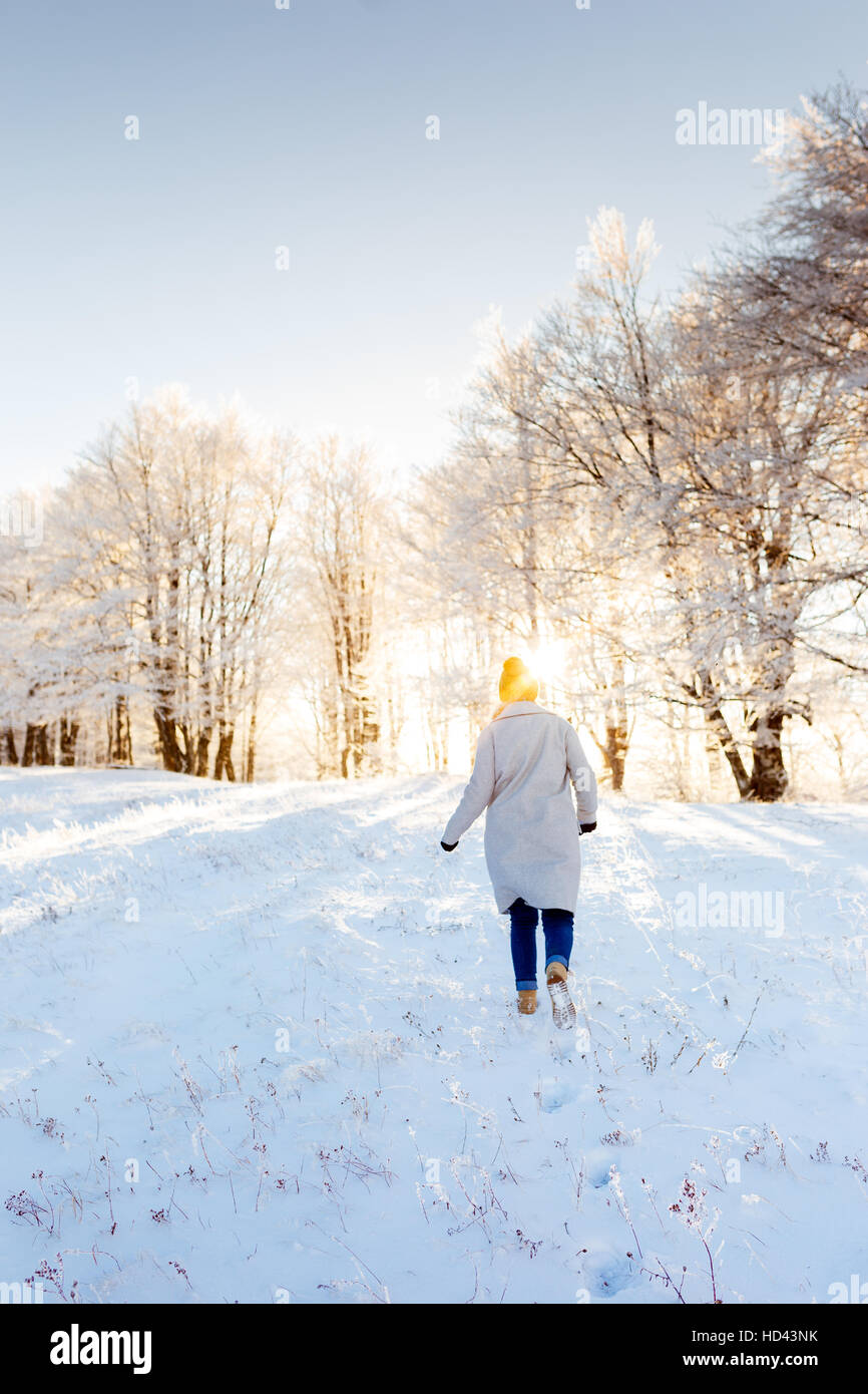 portrait of adventure woman in winter mountain background Stock Photo ...