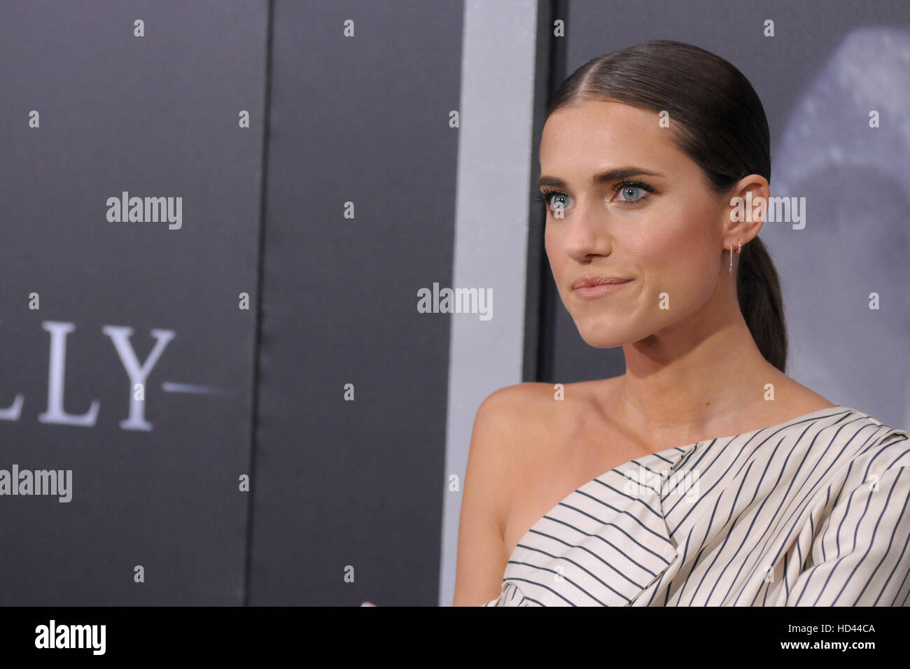 New York Premiere of 'Sully' - Red Carpet Arrivals Featuring: Allison ...