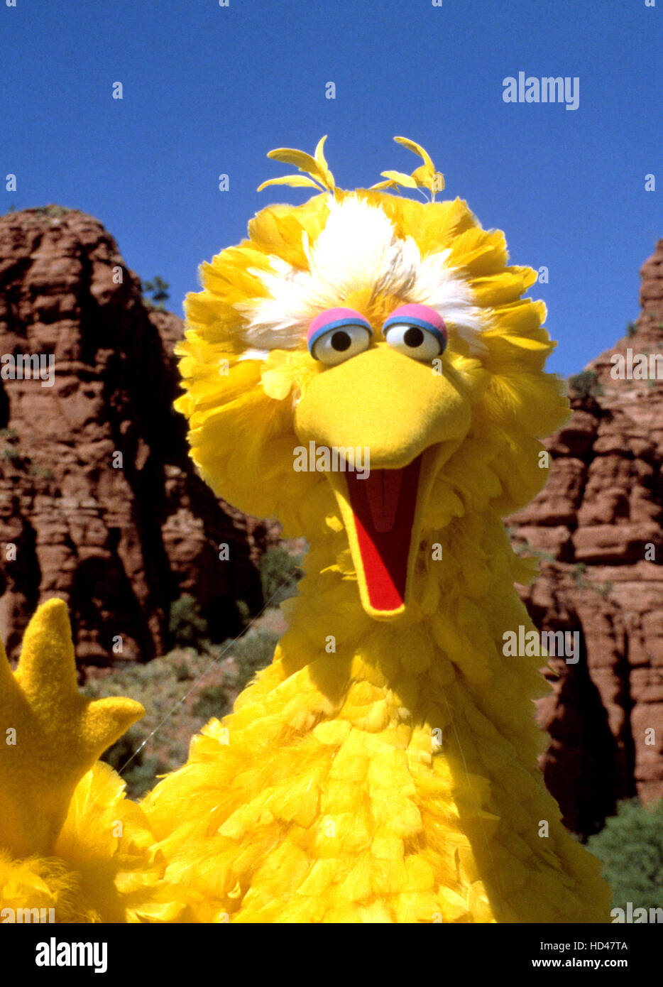 SESAME STREET, Big Bird, 1969-current Stock Photo - Alamy