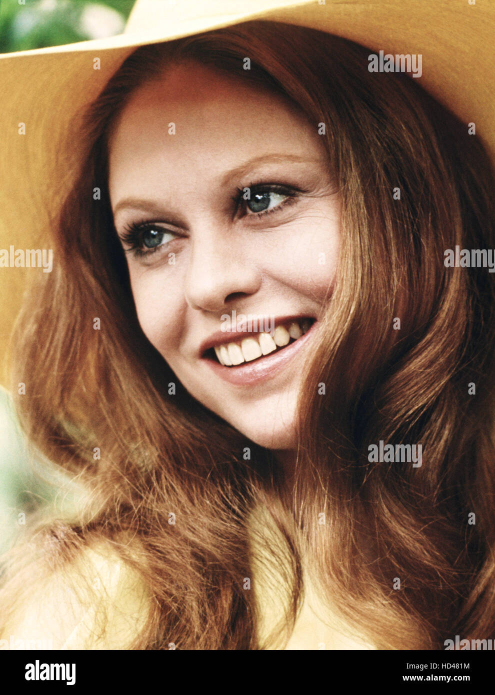 SOMERSET, Fawne Harriman, 1970-76 Stock Photo - Alamy