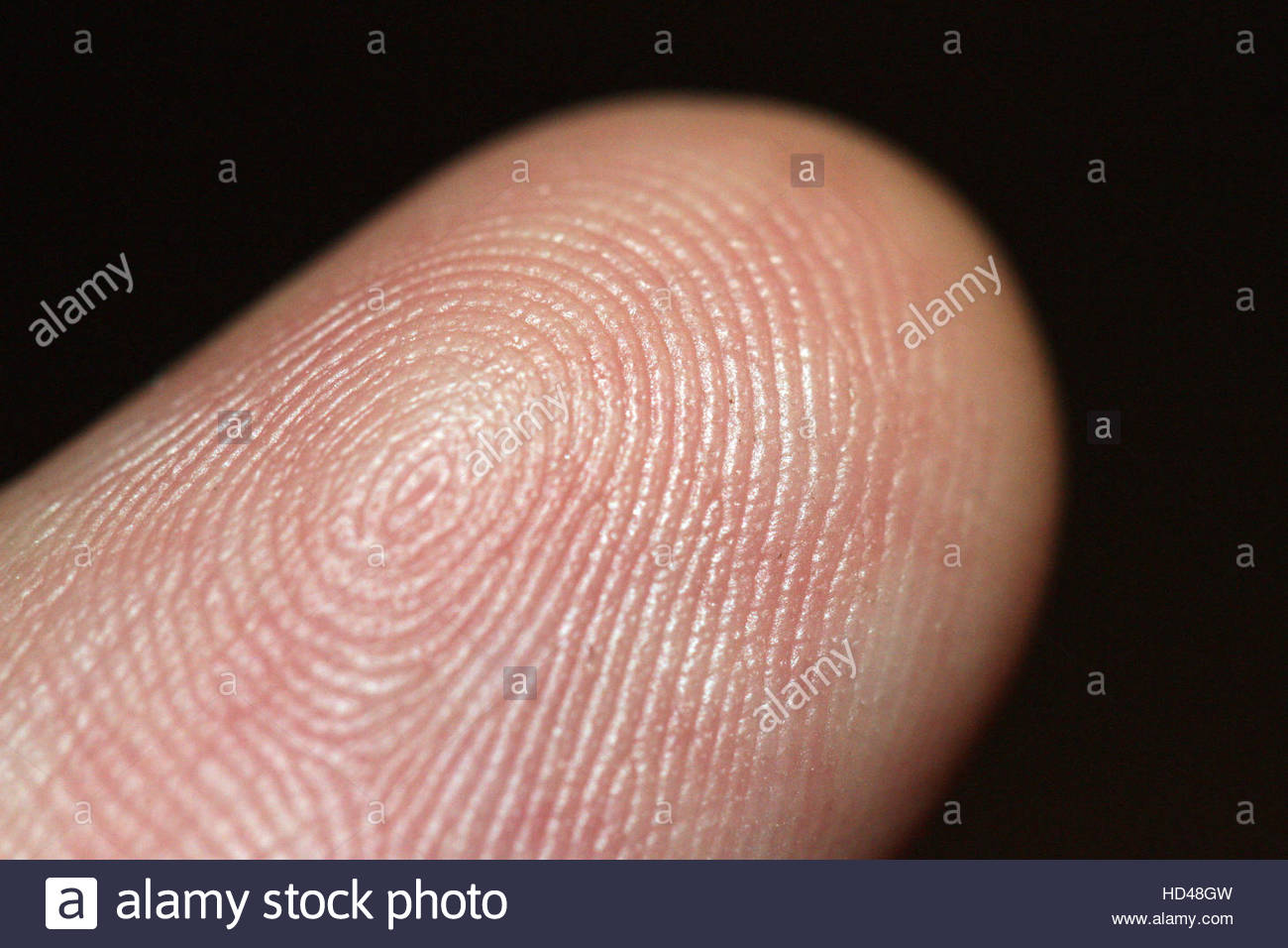Fingerprint Patterns Stock Photos & Fingerprint Patterns Stock Images ...