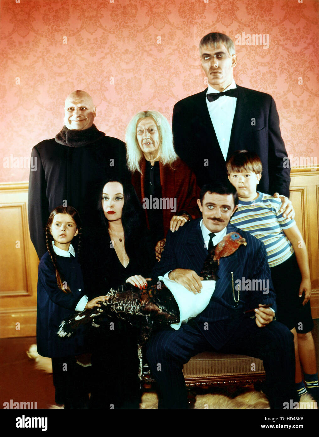 The addams family tv carolyn jones hi-res stock photography and images ...