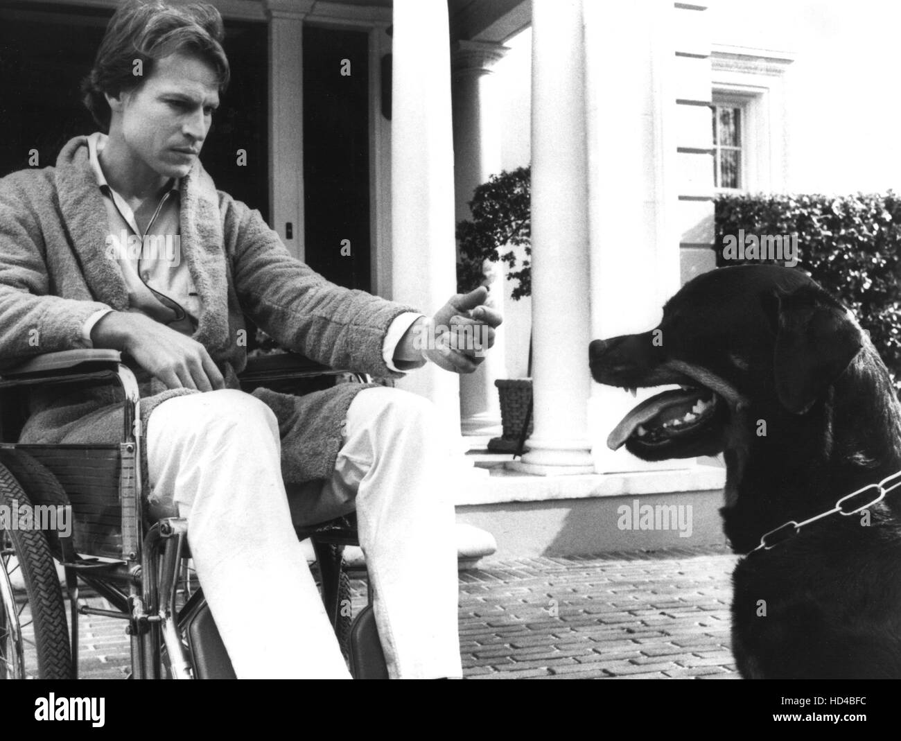 CHILLER [aka WES CRAVEN'S CHILLER], Michael Beck, 1985 Stock Photo - Alamy