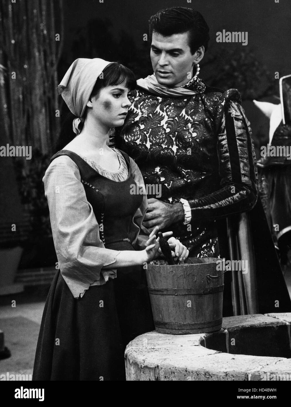 Lesley Ann Warren Cinderella