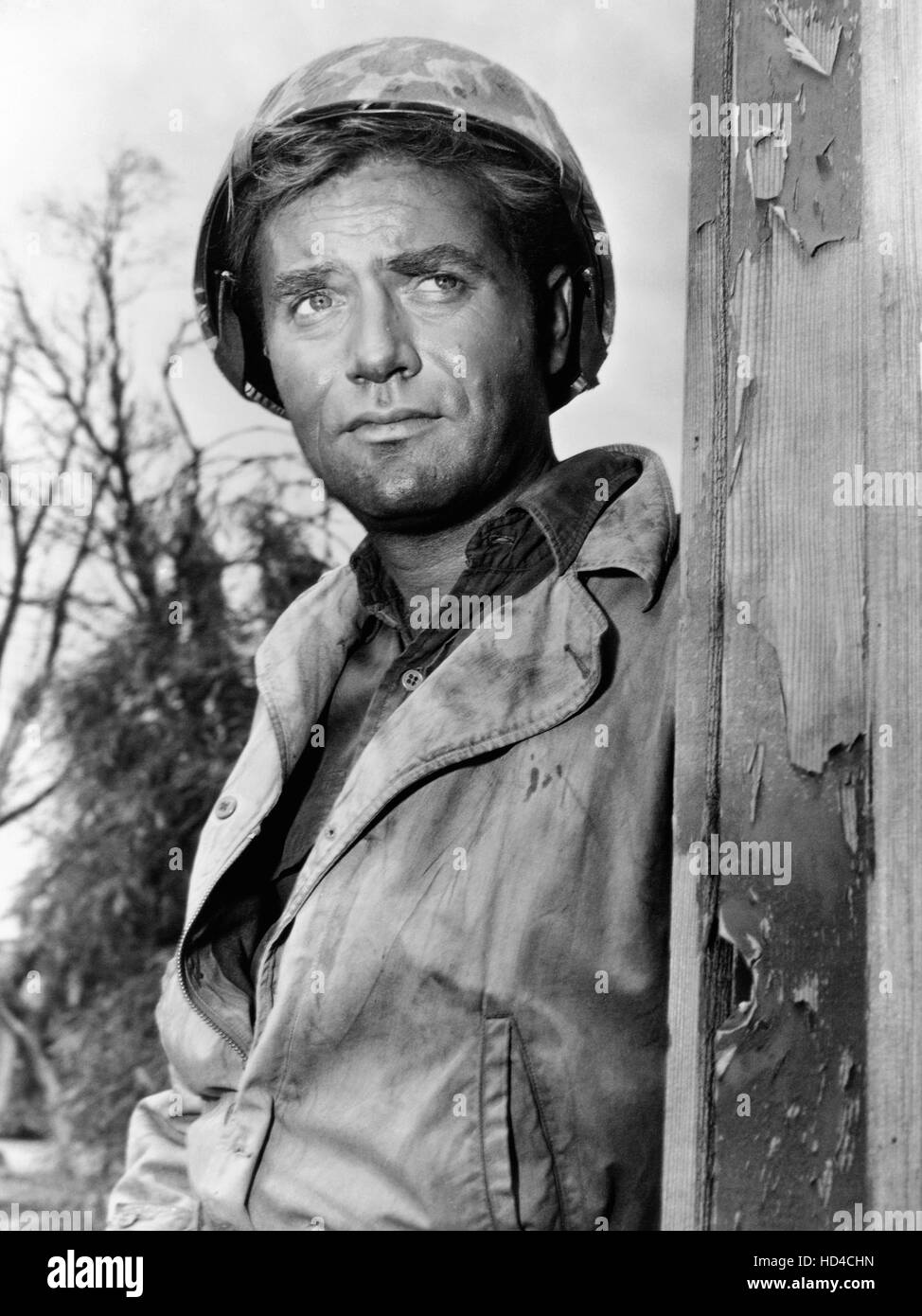 Vic Combat Morrowritter