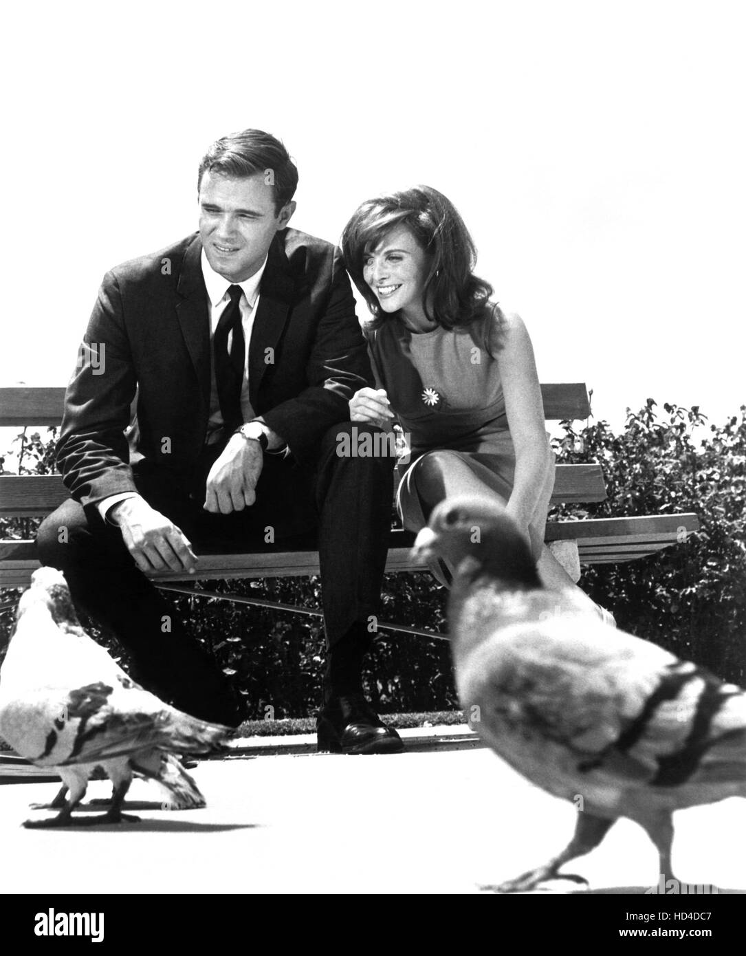 THE F.B.I., (from left): Stephen Brooks, Lynne Loring, 1965-74 Stock ...