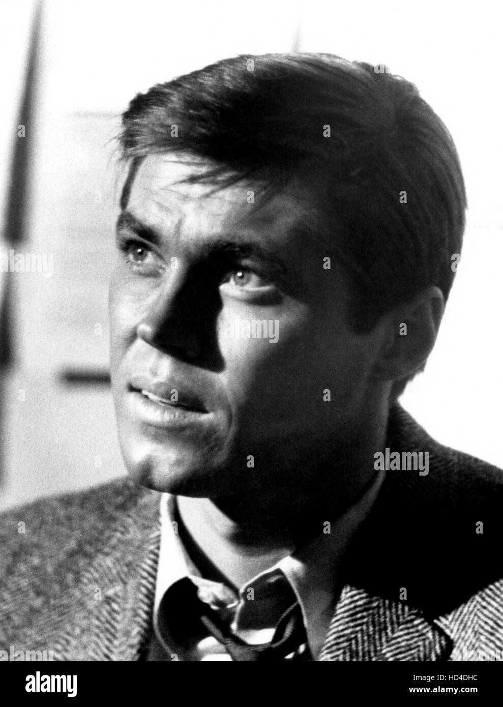 FELONY SQUAD, Dennis Cole, 1966-69, TM and Copyright ©20th Century Fox ...