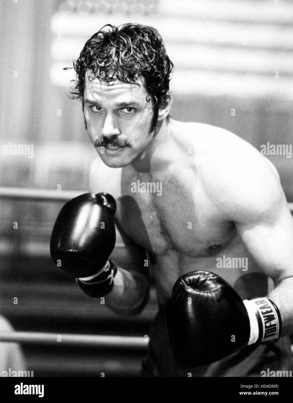 THE FIGHTER, Gregory Harrison, aired February 19, 1983, ©CBS/Courtesy ...