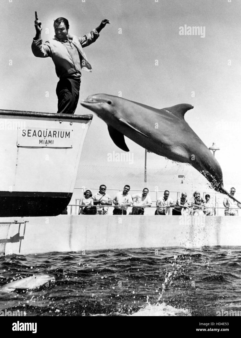 FLIPPER, Dolphin in Pursuit Part 1, Burt Reynolds, Flipper, 1964-1968 ...