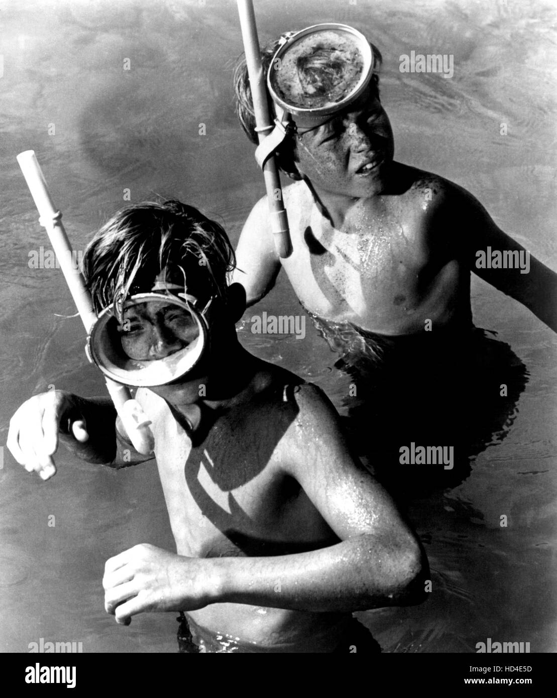 FLIPPER, Luke Halpin, Tommy Norden, 1964-68 Stock Photo - Alamy