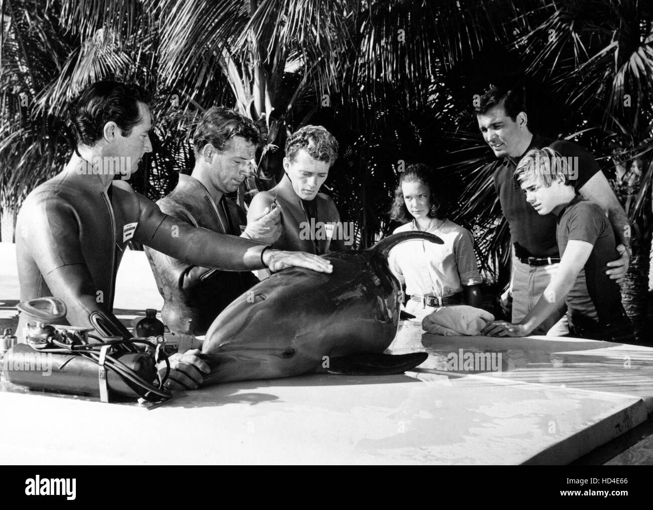 FLIPPER, Ric O'Barry (center), Brian Kelly, Luke Halpin, (right), 1964 ...