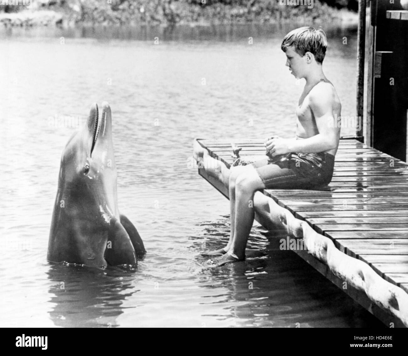 FLIPPER, (from left): Flipper, Tommy Norden, 1964-68 Stock Photo - Alamy