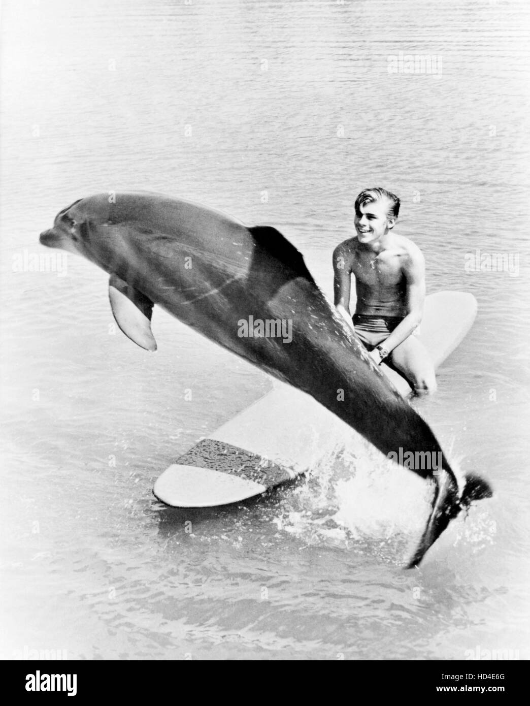 FLIPPER, (from left): Flipper, Luke Halpin, 1964-68 Stock Photo - Alamy