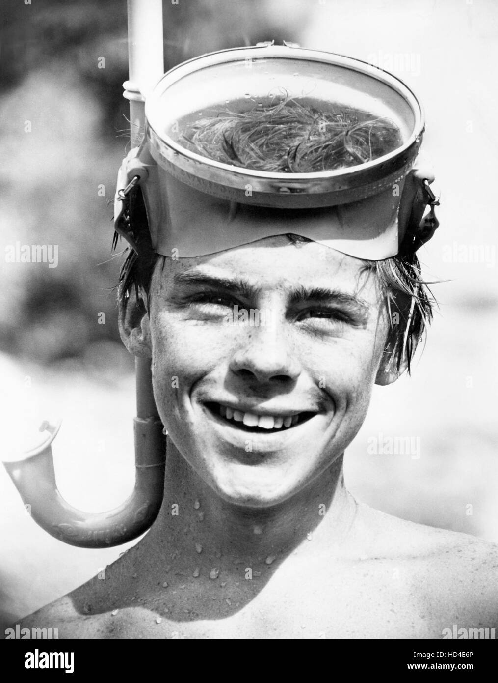 FLIPPER, Luke Halpin, (Season 1), 1964-68 Stock Photo - Alamy