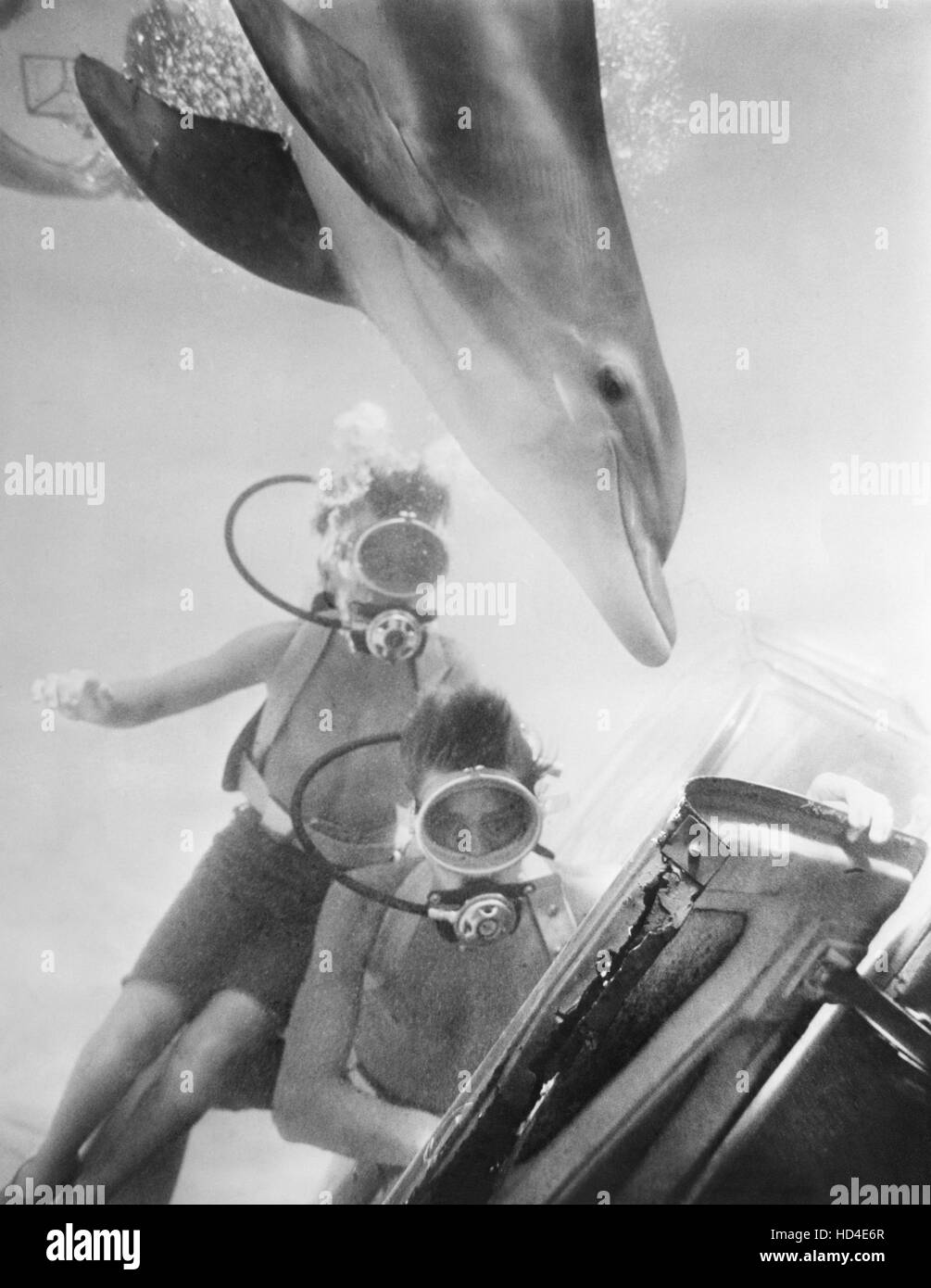 FLIPPER, (from top): Flipper, Tommy Norden, Luke Halpin, 'The Red Hot ...