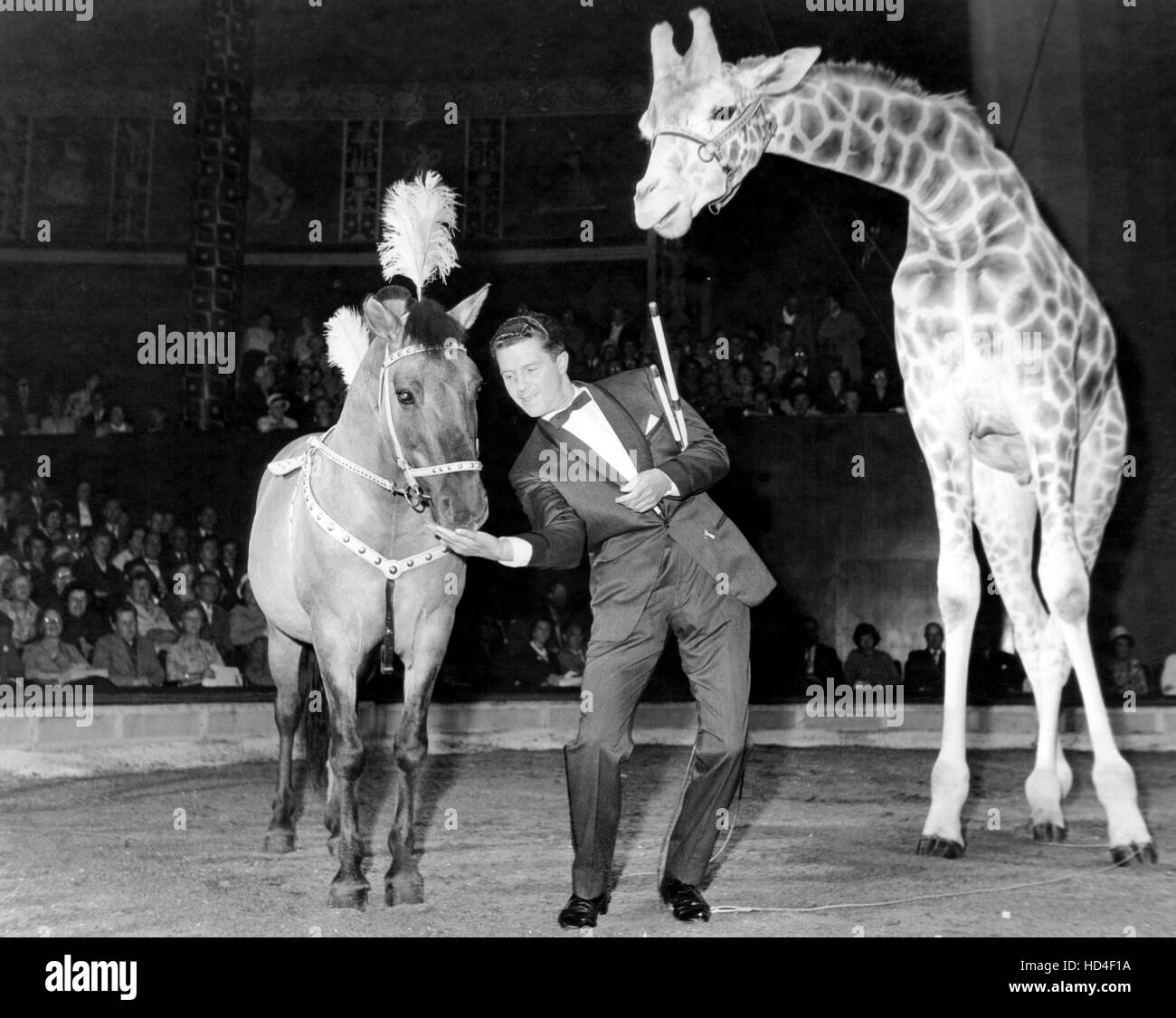 INTERNATIONAL SHOWTIME, Max Schumann with his circus, (ca. 1961), 1961 ...
