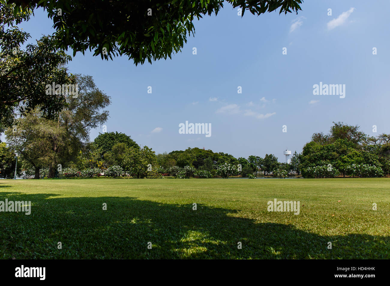 Lawn with blue sky Stock Photo - Alamy