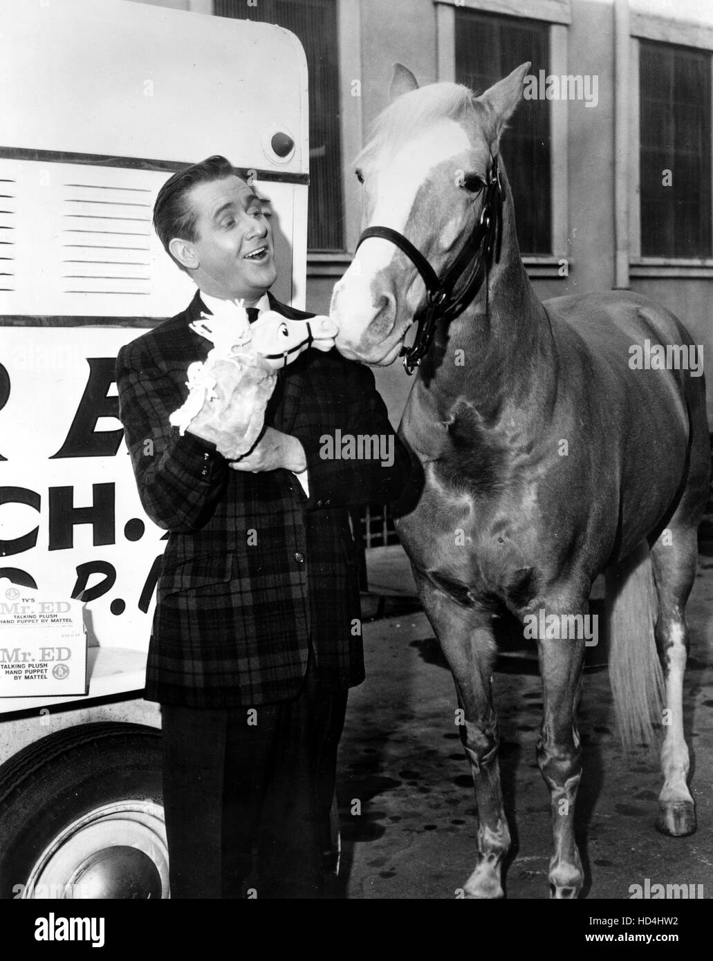 Mr ed horse Black and White Stock Photos & Images - Alamy