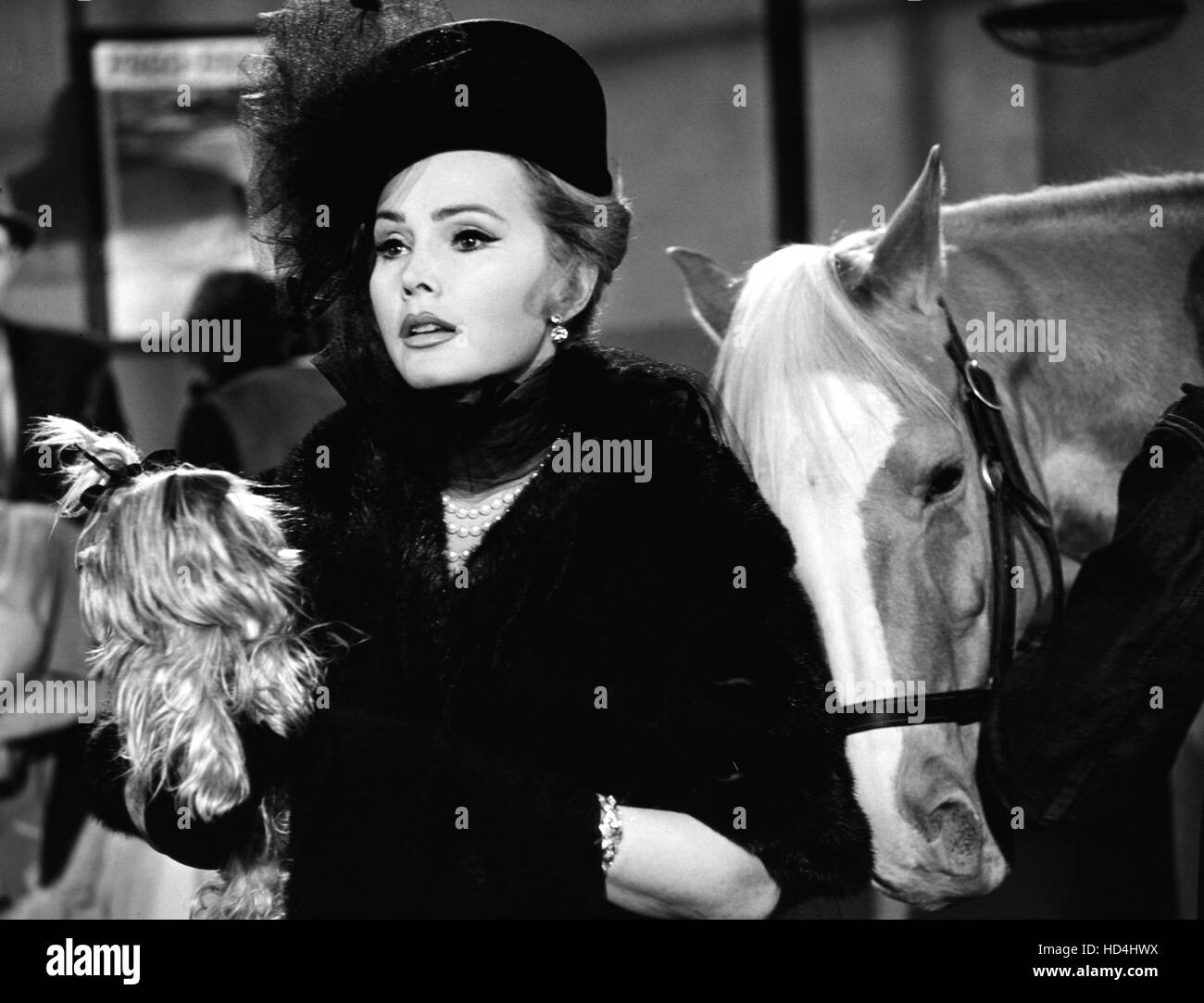 MISTER ED, Zsa Zsa Gabor, 'Zsa Zsa', (Season 2, aired January 28, 1962 ...