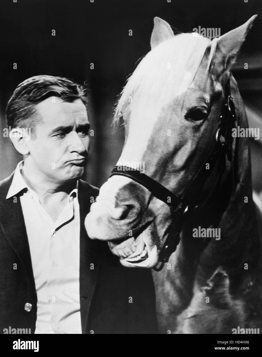 MR. ED, Alan Young, 1961-66 Stock Photo - Alamy