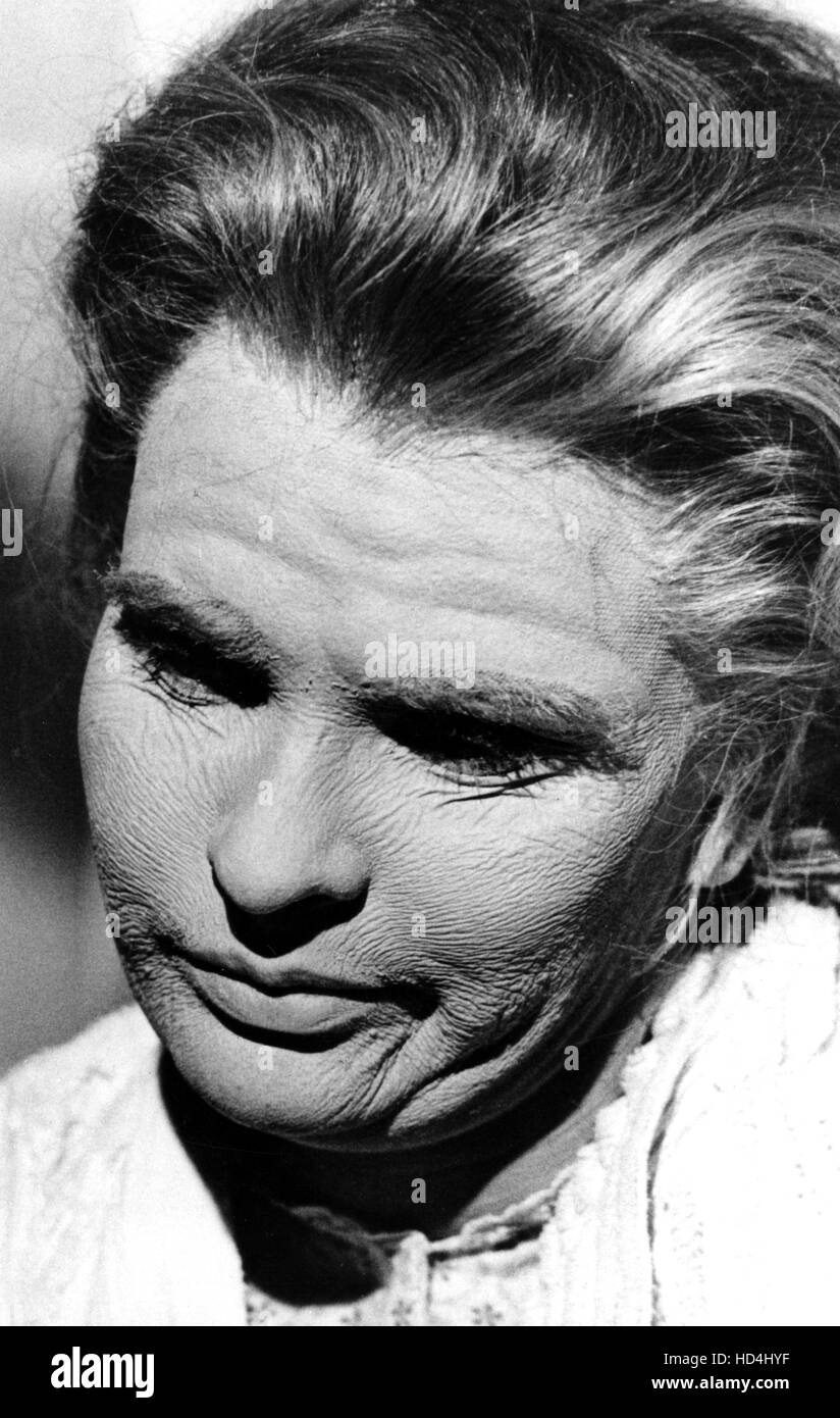 MISSION: IMPOSSIBLE, Barbara Anderson (1972-1973). 1966-1973 Stock ...