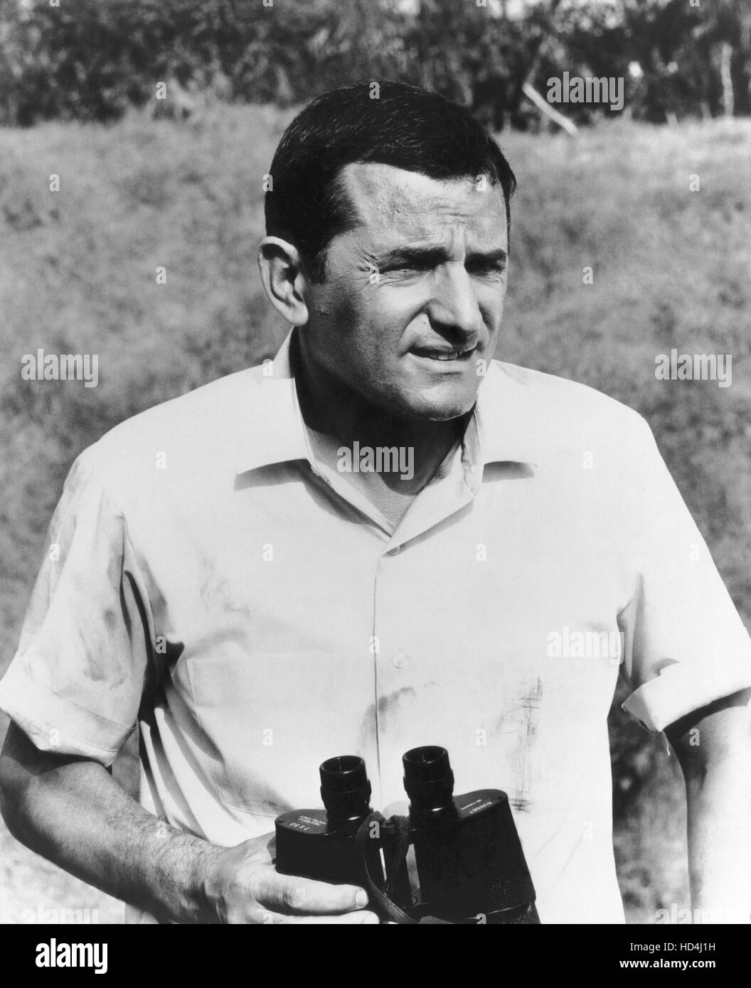 MISSION: IMPOSSIBLE, Steven Hill, (season 1, 1966-67), 1966-73 Stock ...