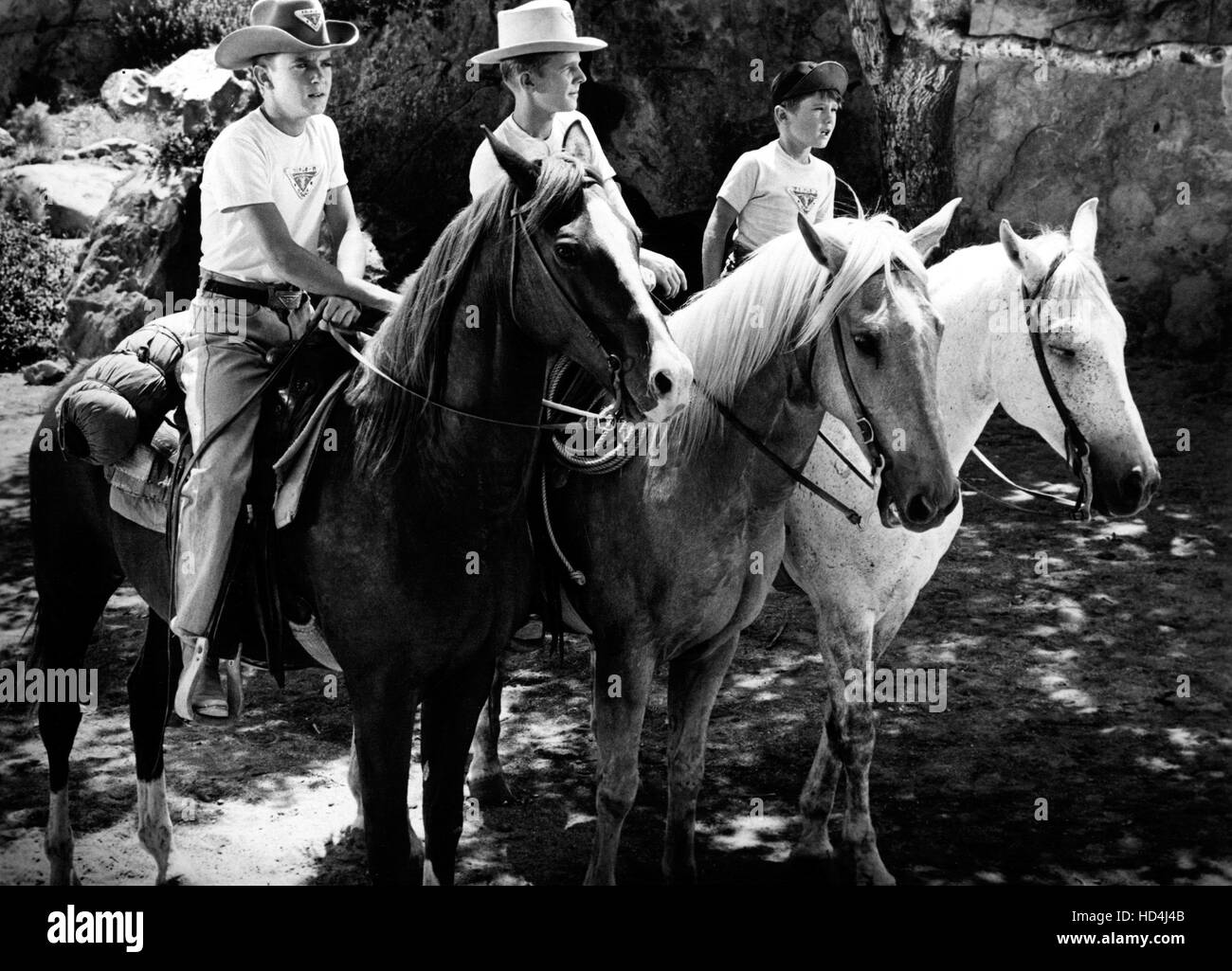 Tim considine High Resolution Stock Photography and Images - Alamy