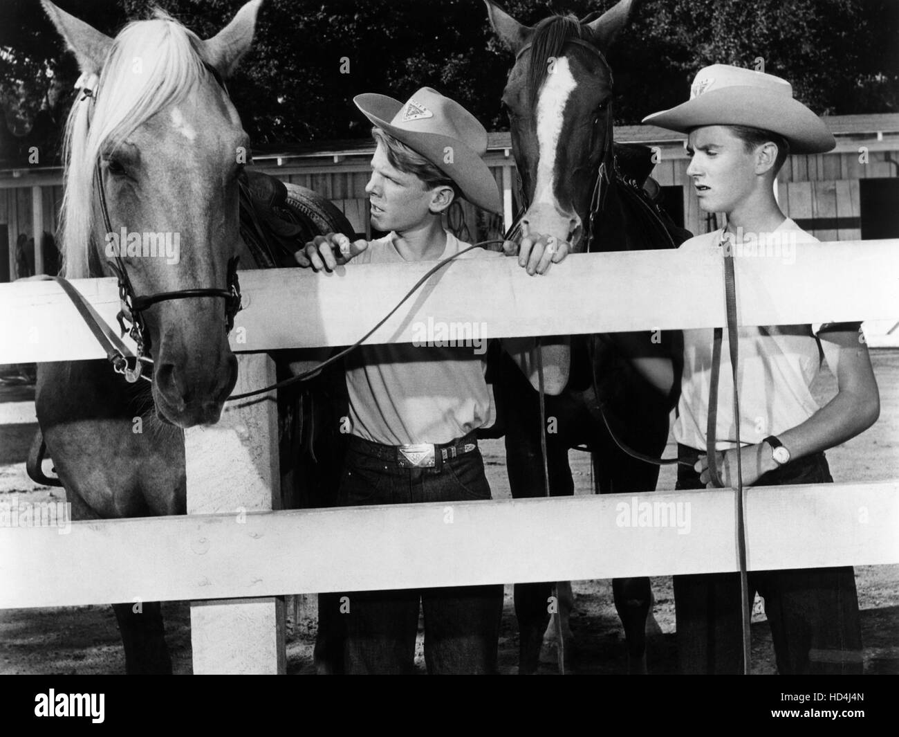 THE MICKEY MOUSE CLUB, David Stollery, Tim Considine in 'The Adventures ...