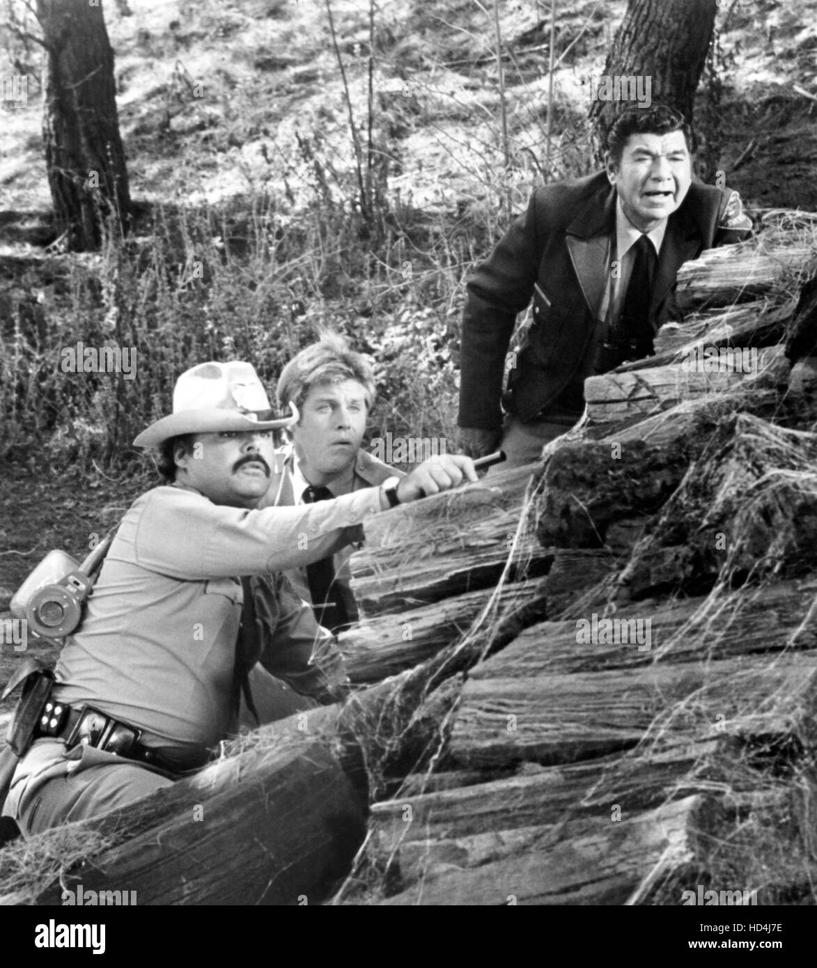 THE MISADVENTURES OF SHERIFF LOBO (aka LOBO), from left: Mills Watson ...