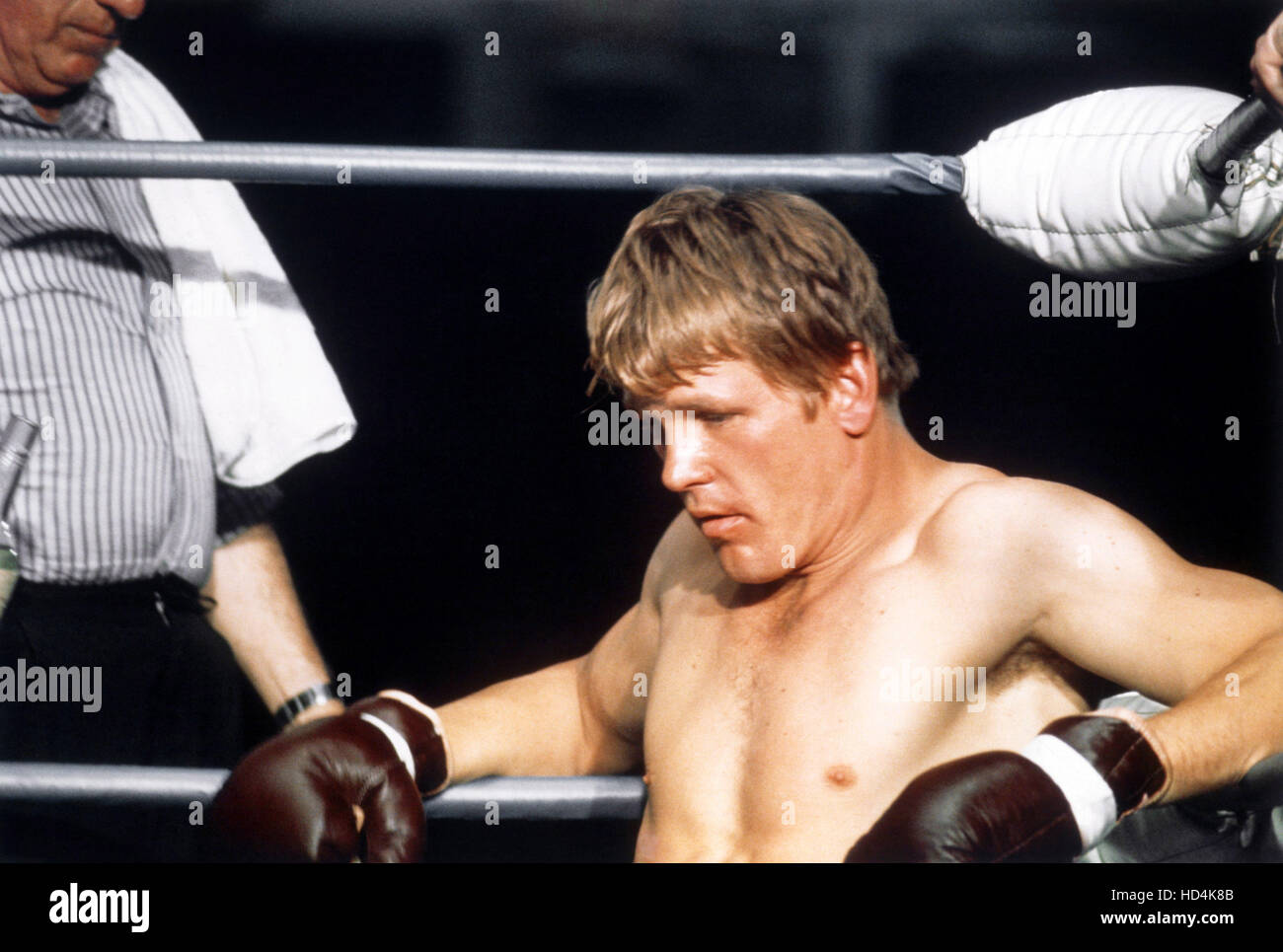RICH MAN, POOR MAN, Nick Nolte, 1976 Stock Photo - Alamy